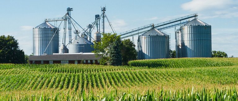 Agribusiness Is The Problem Not The Solution