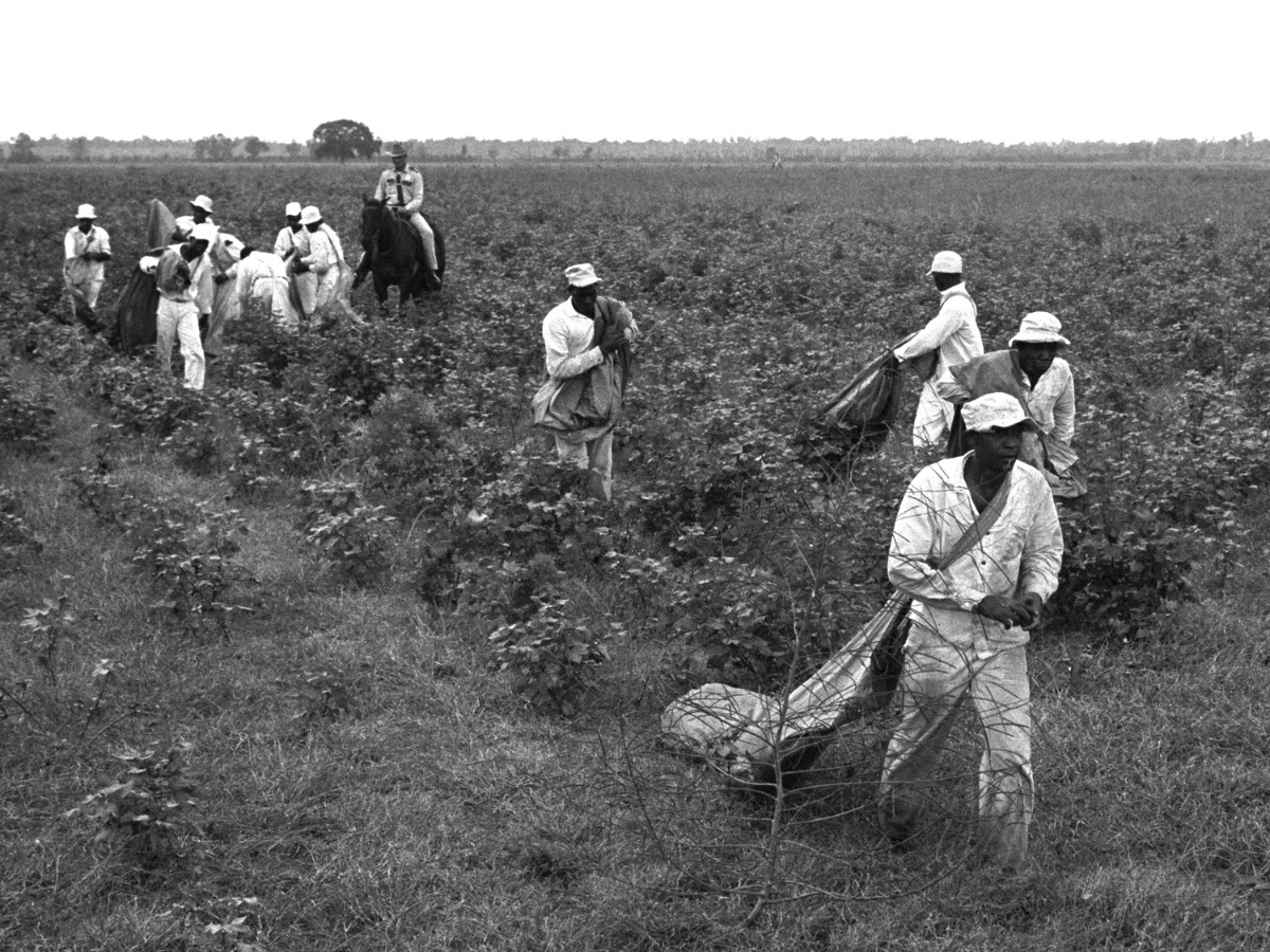 Texas' prison plantation model was a brutal remnant of slavery