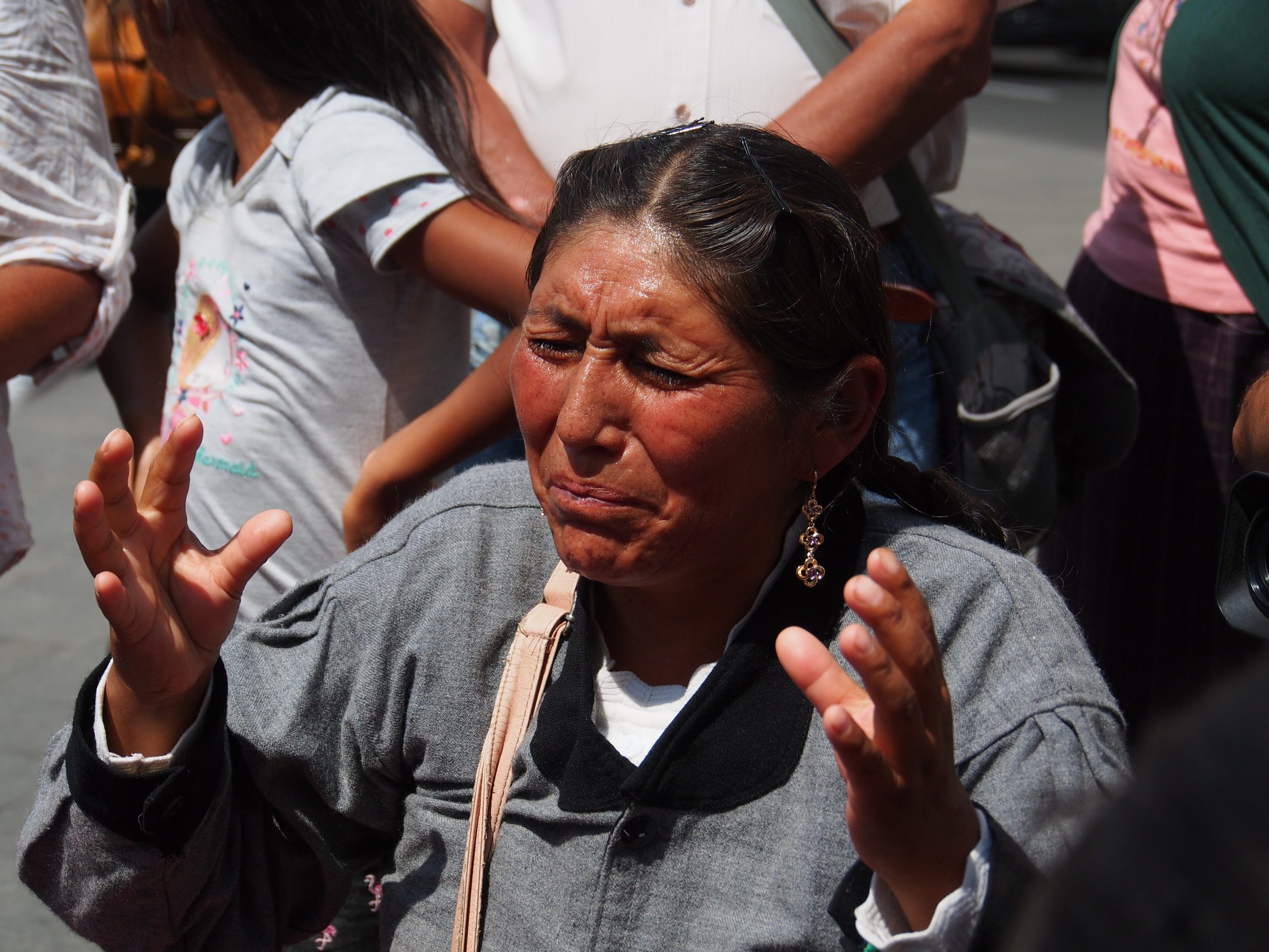 'They treat us like animals': Peru's anti-coup protests explained