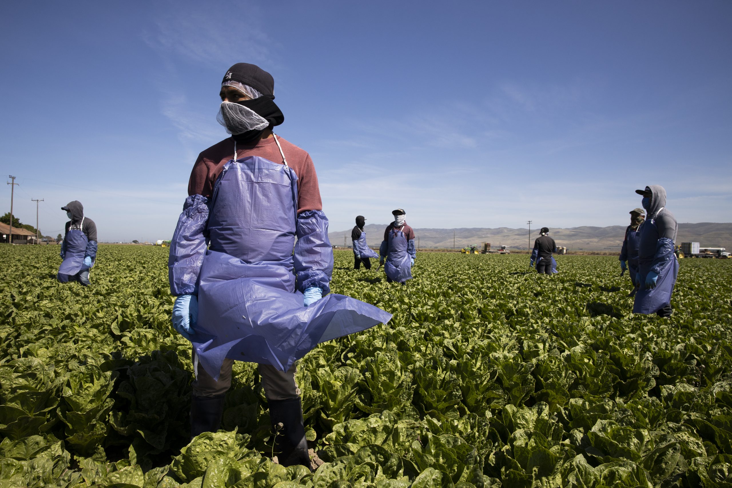 An essential workers' history of the pandemic